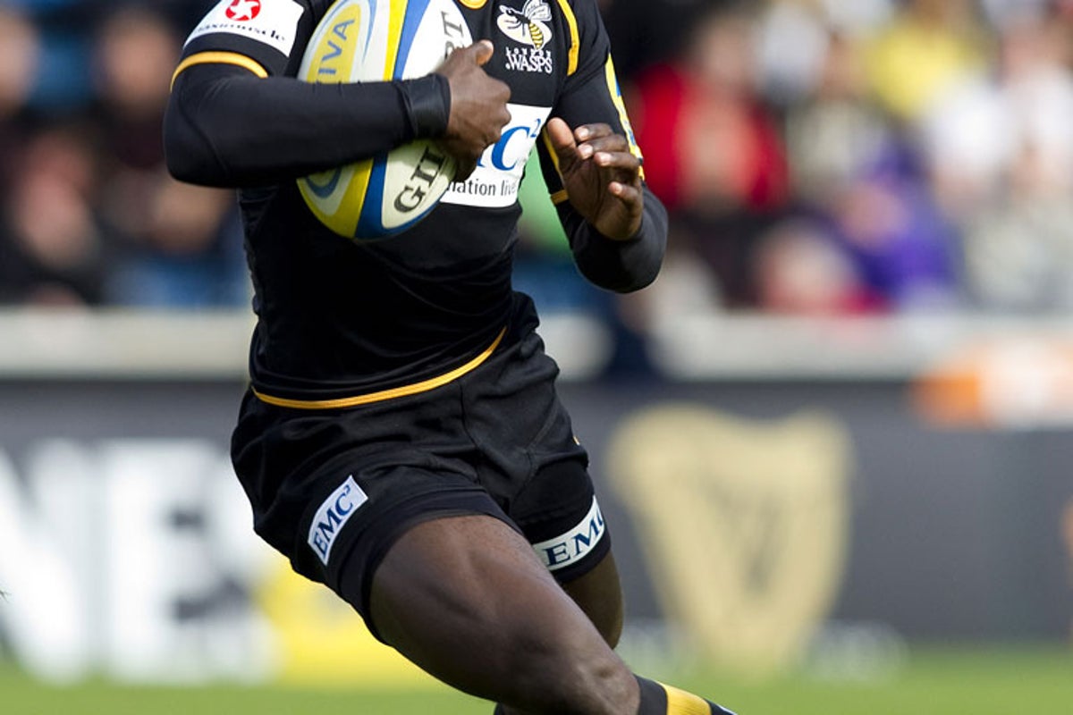 Christian Wade: Float like a butterfly, sting like a Wasp | The ...